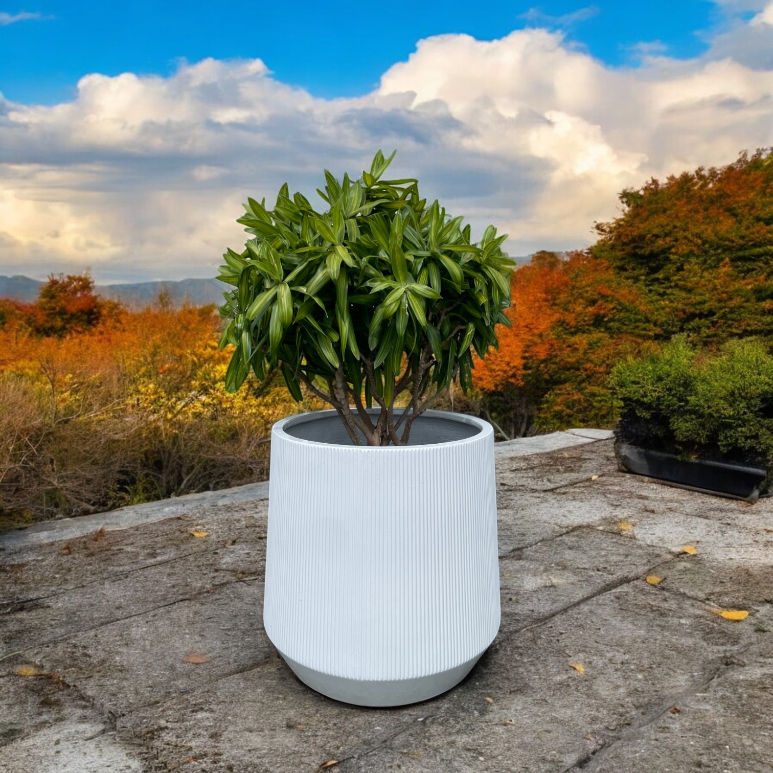 Granite Textured Planter White Color