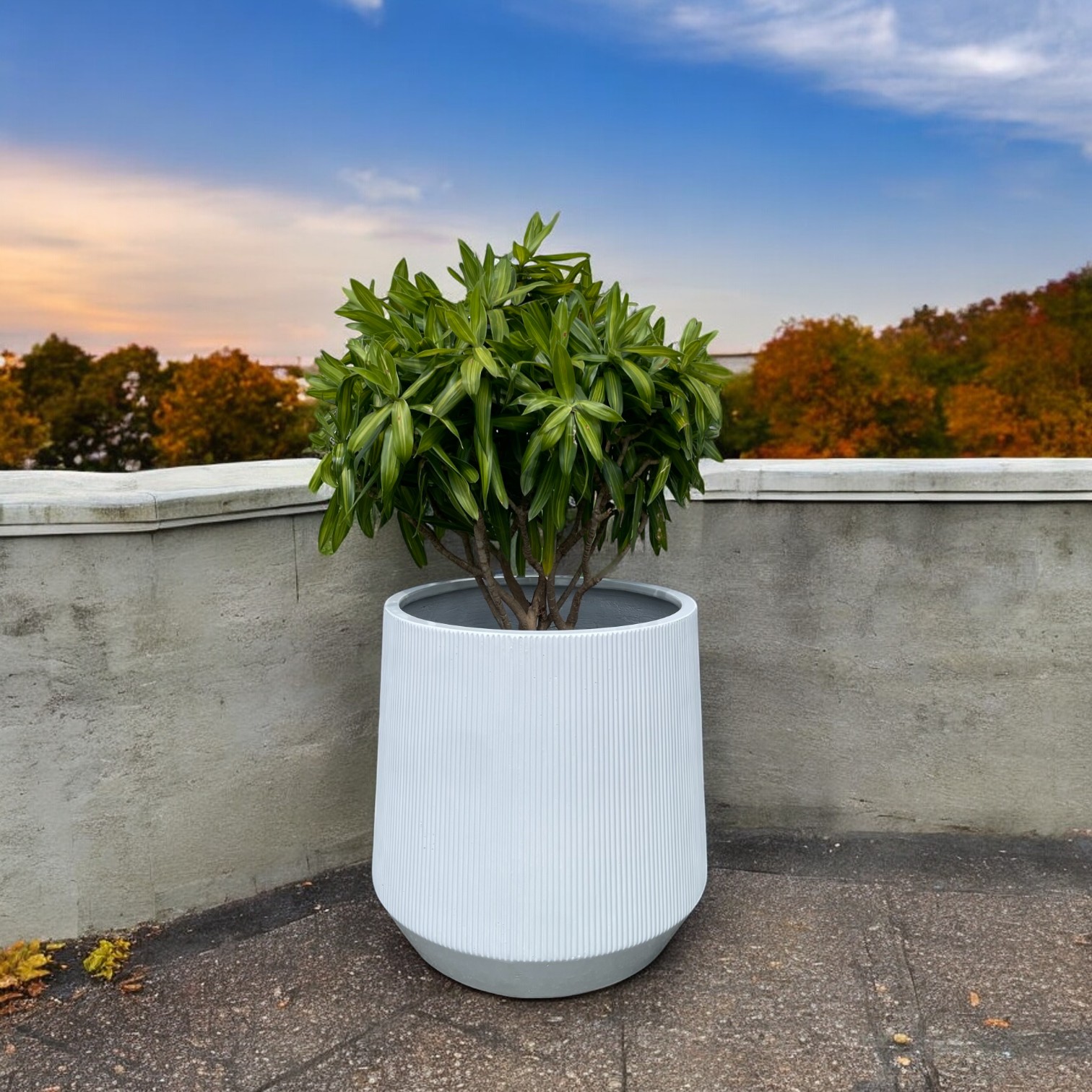 Granite Textured Planter White Color